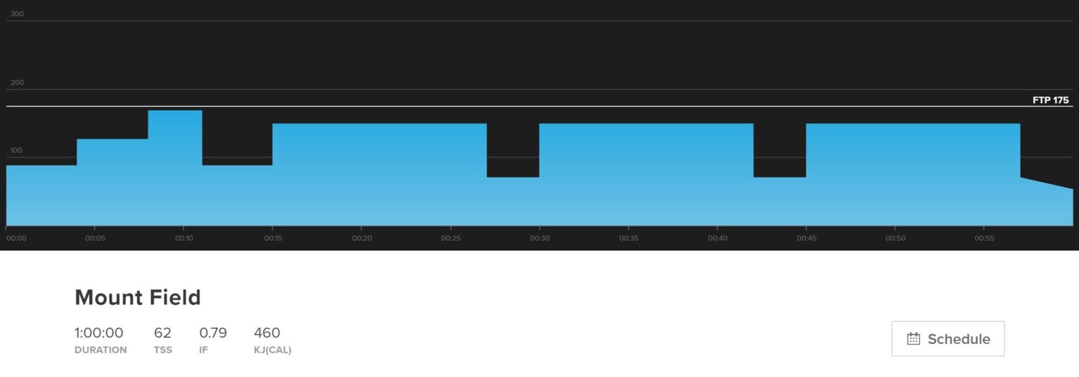 Cycling Base Training: Why and How to Build Your Aerobic Base ...